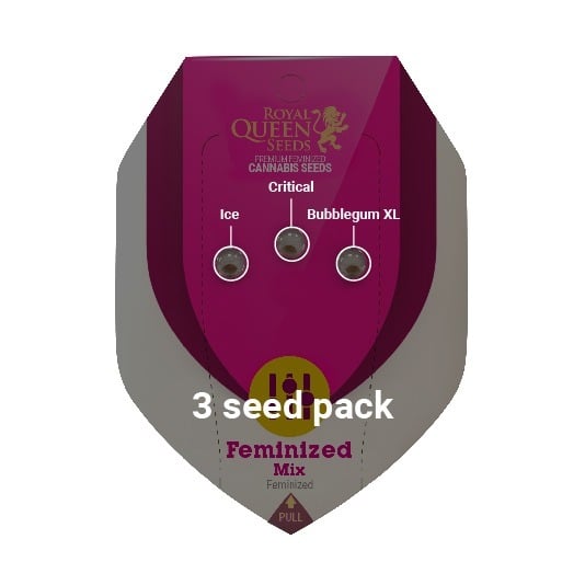 Feminized Mix Royal Queen Seeds Usa